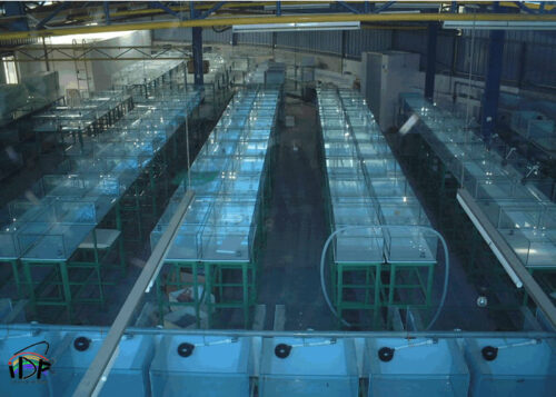 Discus Farms – OzDiscus