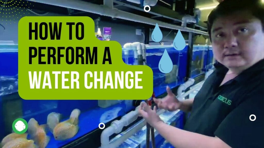 Learn About Discus - OzDiscus