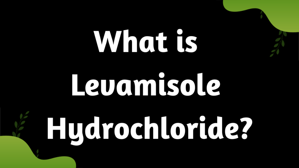 Learn About Discus - OzDiscus